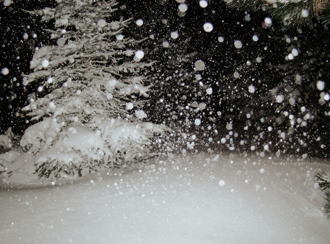 snow_fall_freeze_water | Clearfield City