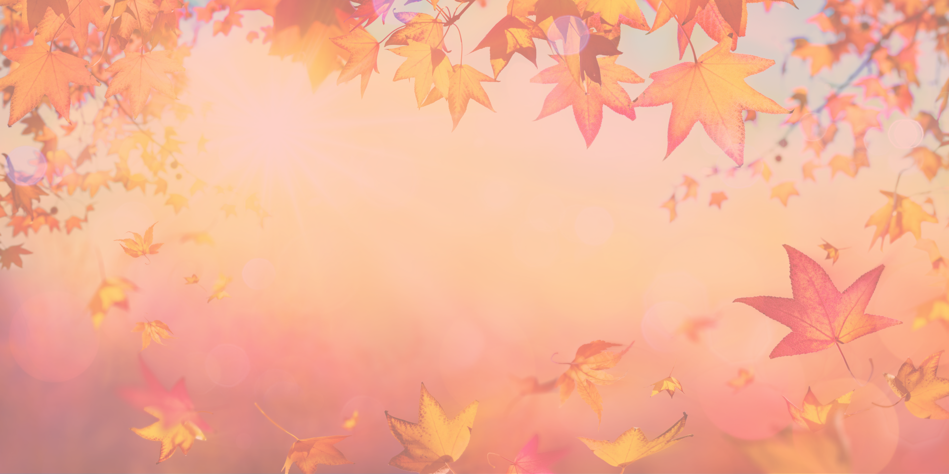 Fall Banner | Clearfield City